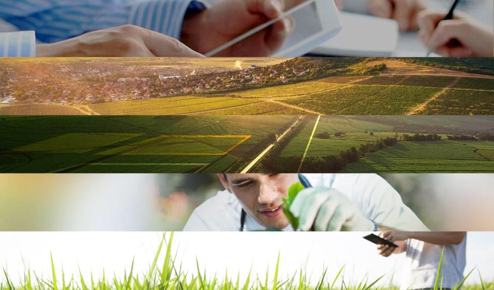 Understanding business areas in the forest process - INFLOR®